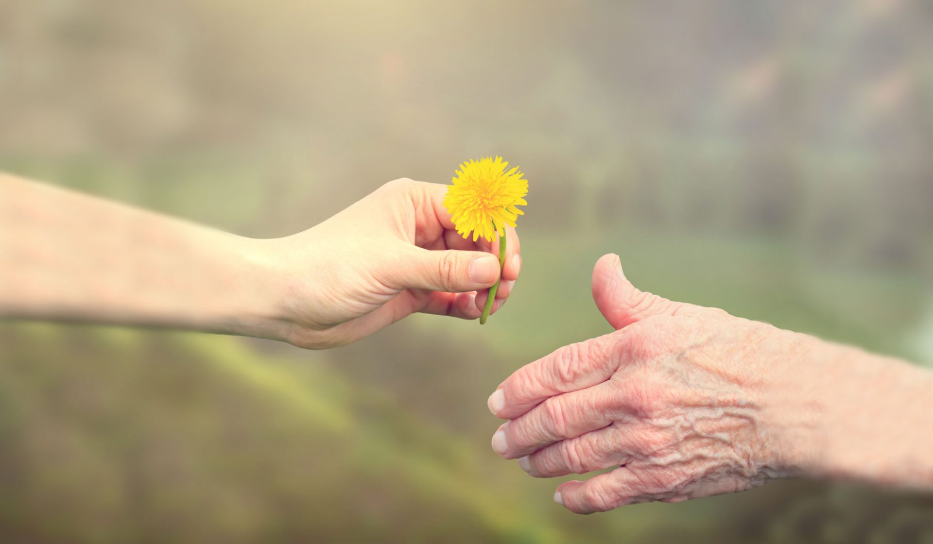 giving - Brenda Yong